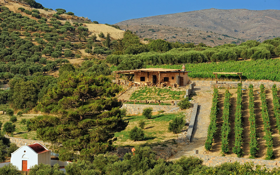 Vineyards of Crete: Visiting the Source - Greece Is