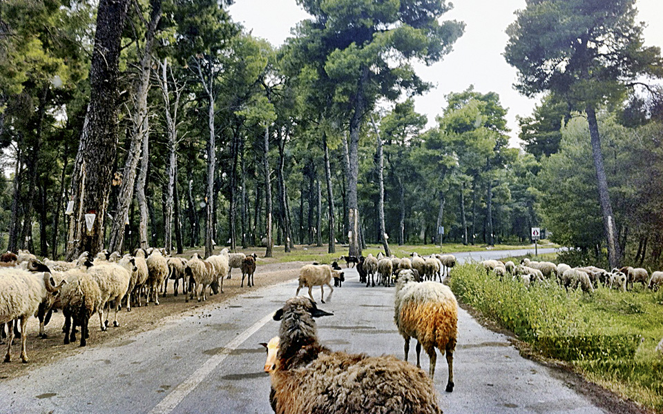 HAL_ROAD_TRIP_13 - Greece Is