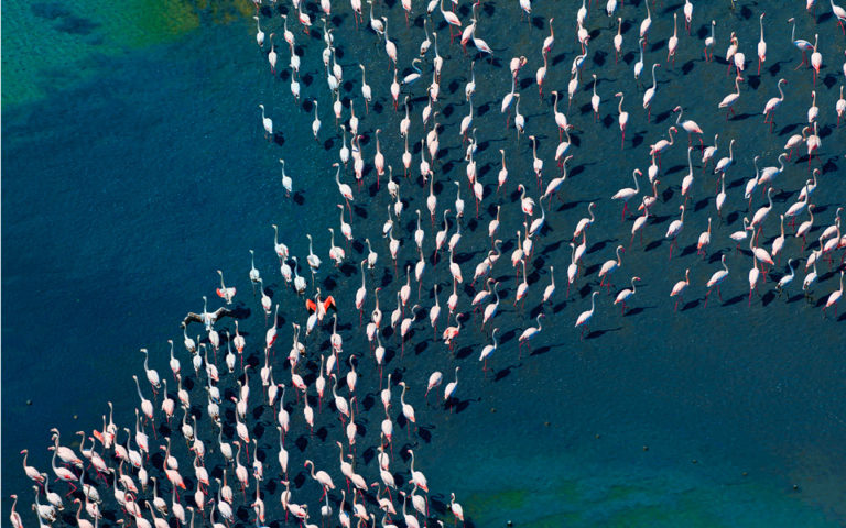 axios_delta_national_park - Greece Is