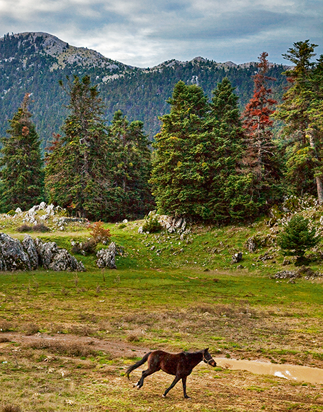 araxova-049-libadi - Greece Is