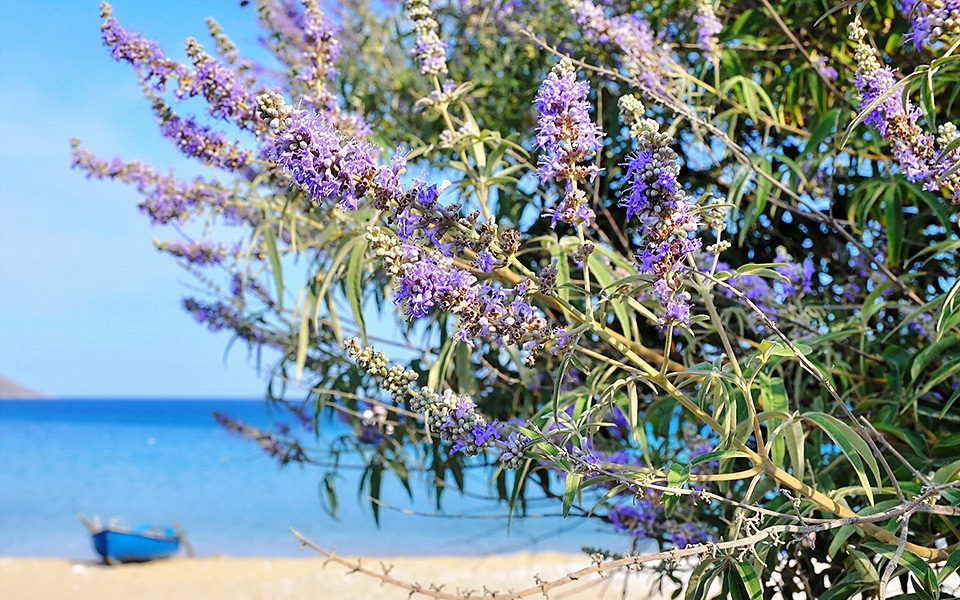 Celebrating the Colors of Greece - Greece Is