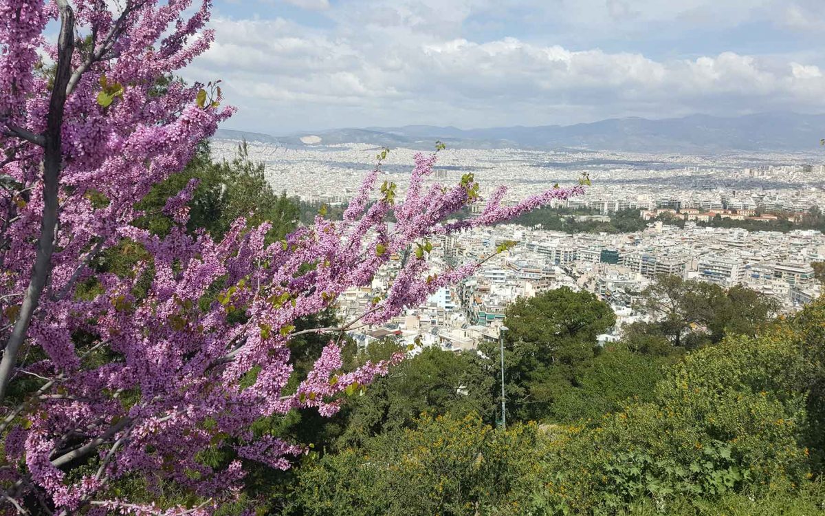 spring_athens_shutter - Greece Is