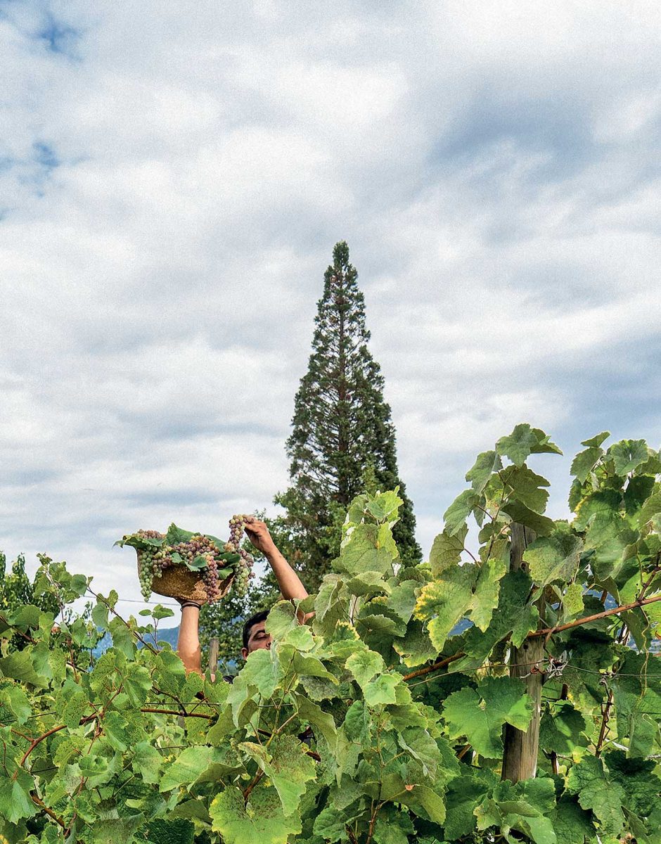 001-spiropoulos-01-++3 - Greece Is