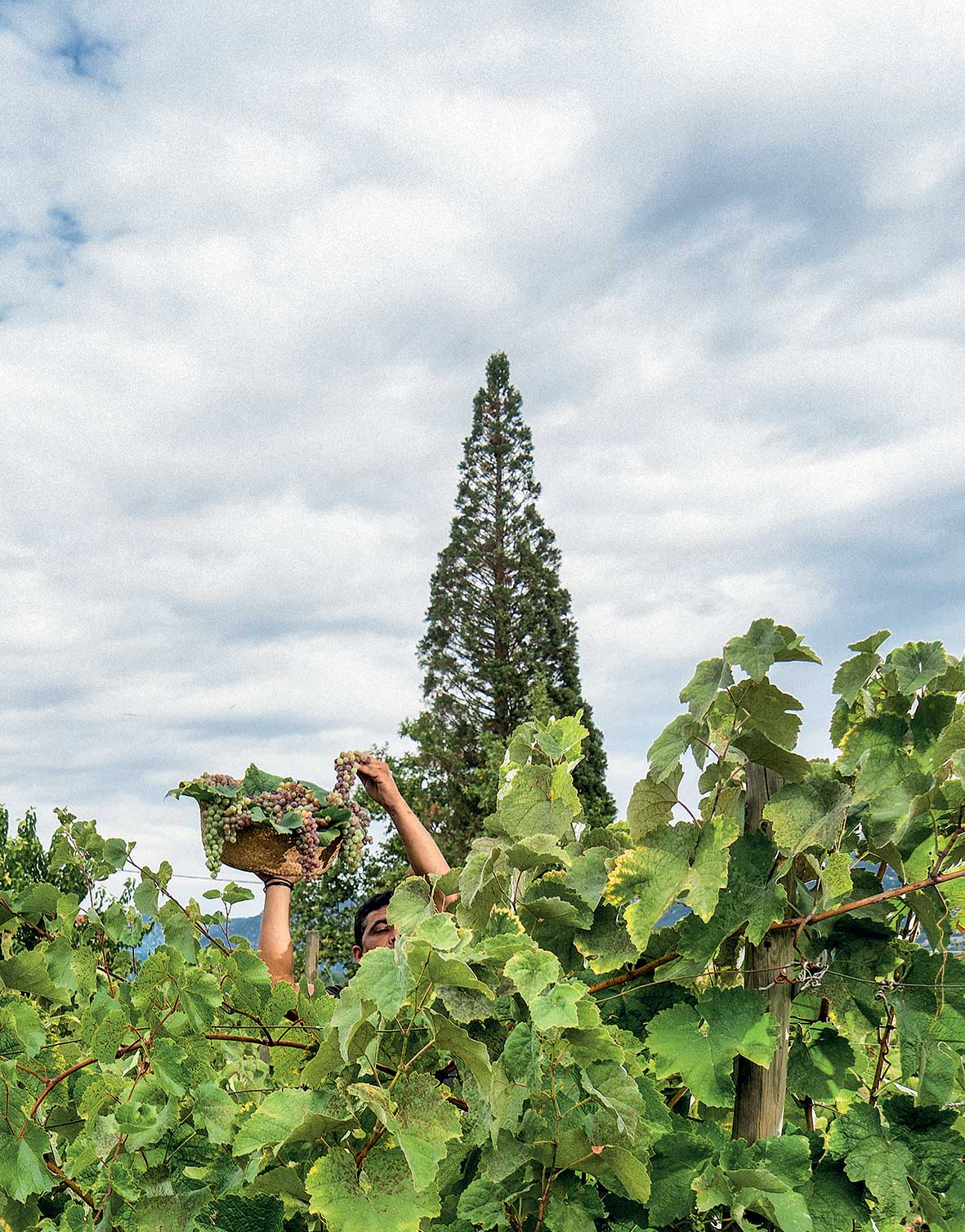 001-spiropoulos-01-++3 - Greece Is