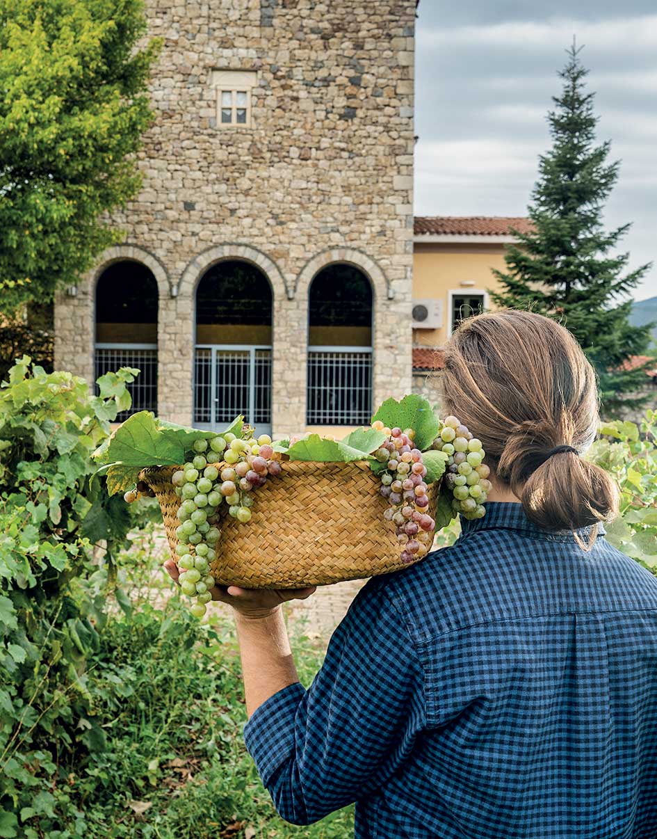 spiropoulos-052 - Greece Is