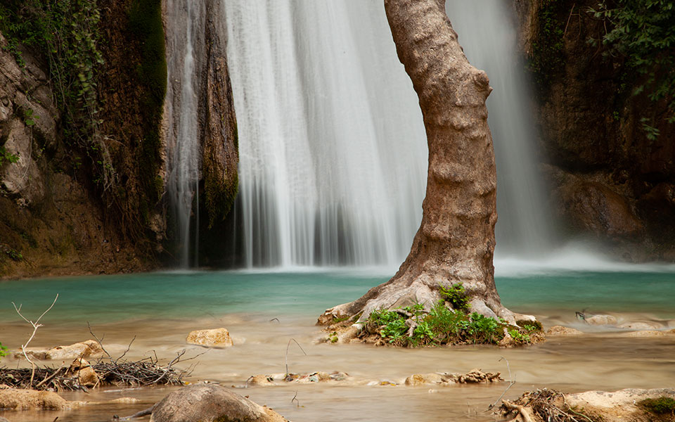 Neda-(5) - Greece Is