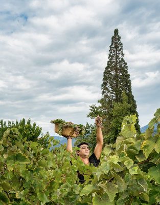 001-spiropoulos-05-++ - Greece Is