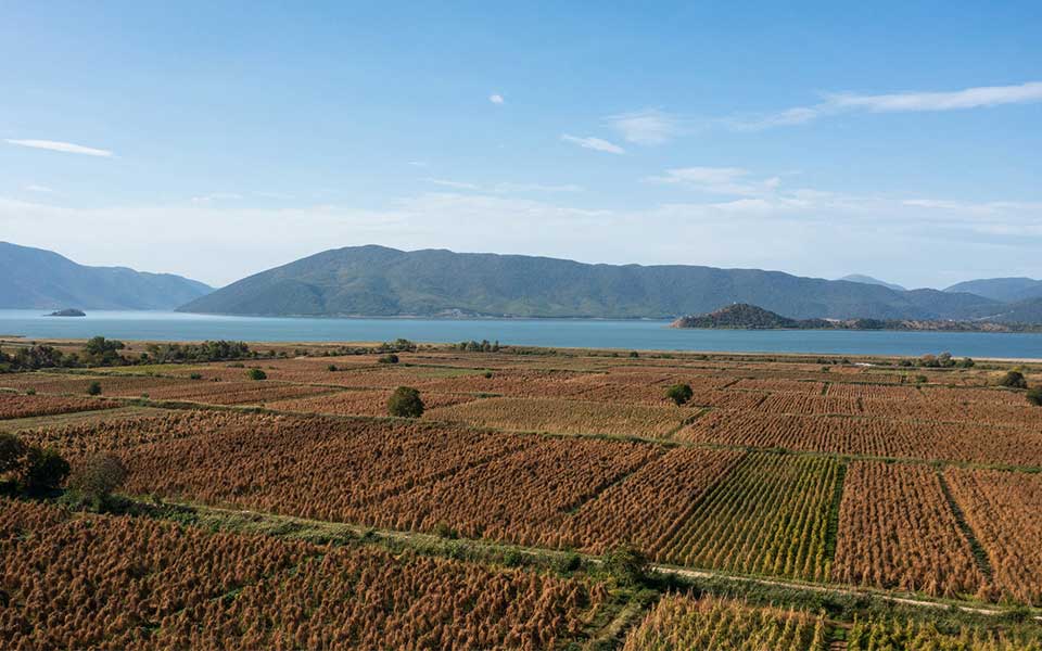 prespa-top-ospria-vraveia-7-gastronomos - Greece Is