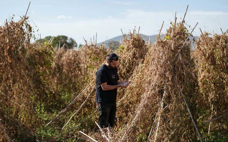 prespa-top-ospria-vraveia-9-gastronomos - Greece Is