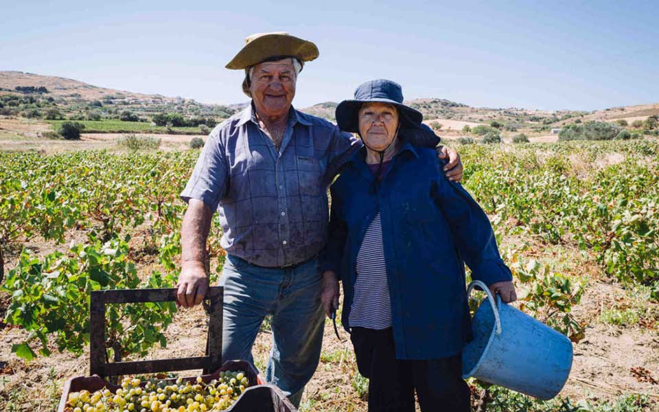 4 Winemakers from Limnos Produce Wines that Are Well Worth Tasting ...